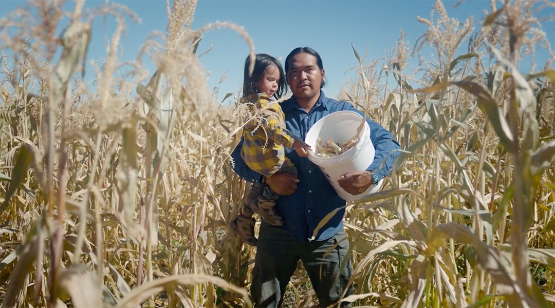 With Bidii Baby Foods, first foods make a big impact on the next ...