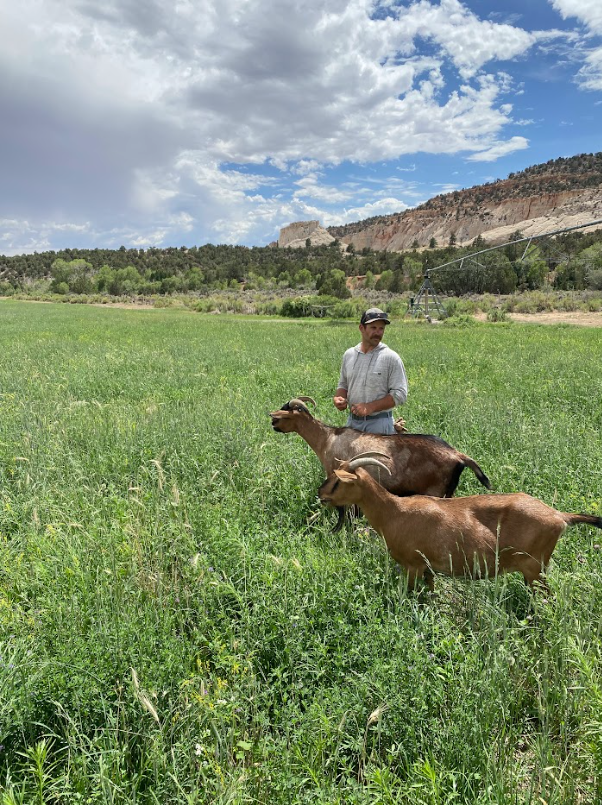 Farming for the long haul In southern Utah - Resource Rural